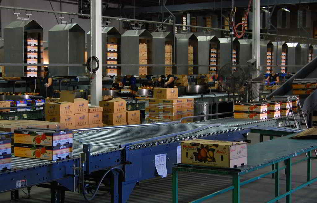 Teoría económica de la producción y los costos • gestiopolis