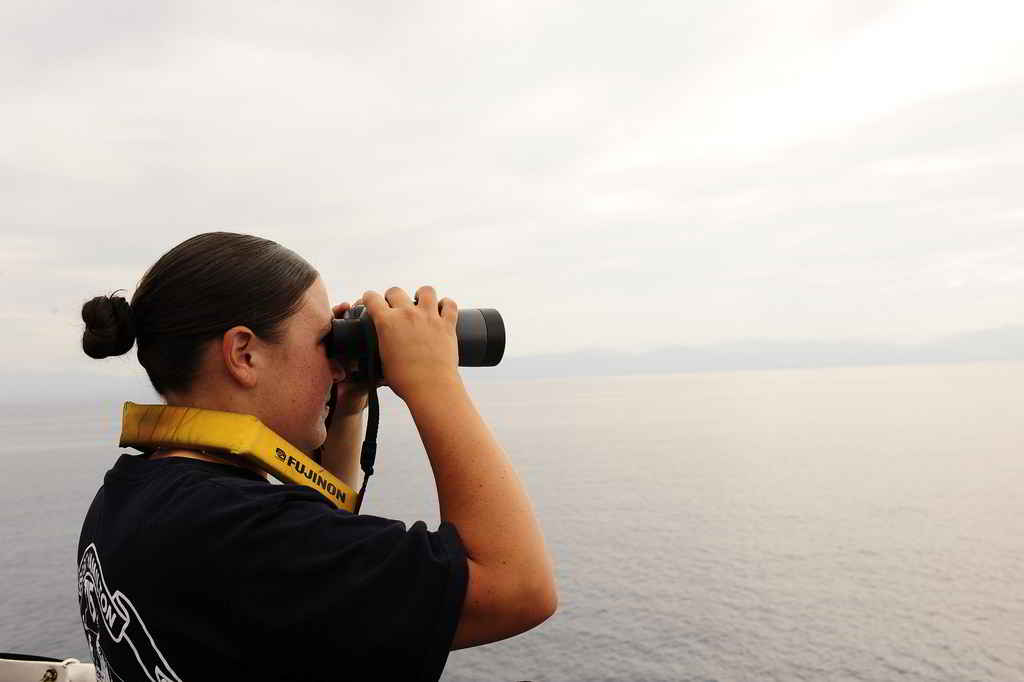 Visión. Qué es, funciones, propiedades, tipos, ejemplos • gestiopolis