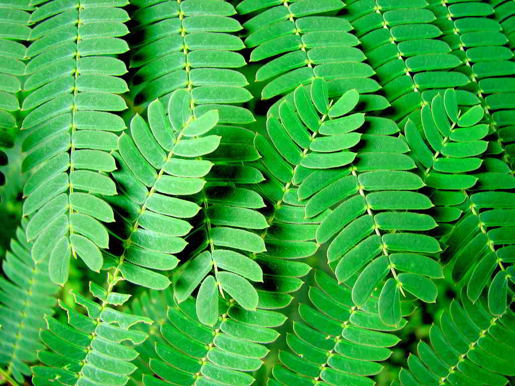 De la división del trabajo a la integración empresarial • gestiopolis