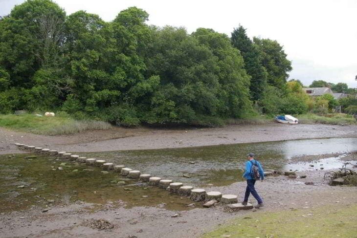Tipos de disciplina laboral: preventiva, correctiva y progresiva ...