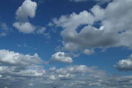 Definición de JavaScript • gestiopolis