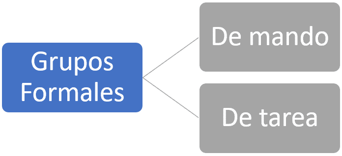 Estructura Organizacional Formal E Informal