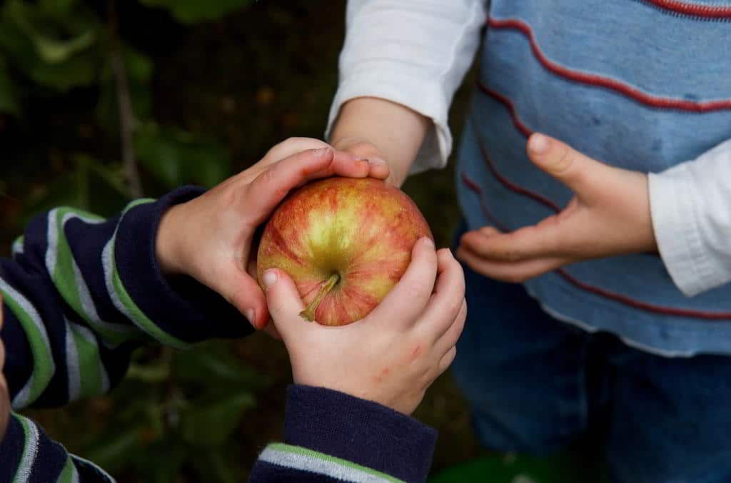 Valor compartido • gestiopolis