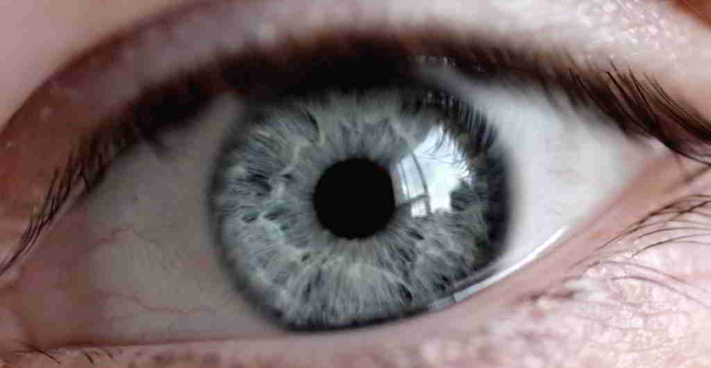 Nueva mirada en Educación: Perspectiva Sistémica • gestiopolis